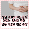 장염 먹어도 되는 음식 안되는 음식과 장염 낫는 기간과 원인 증상 네이버 블로그